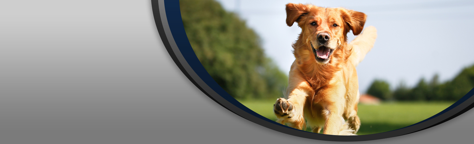 Gillespie Veterinary Center - Fredericksburg, Texas