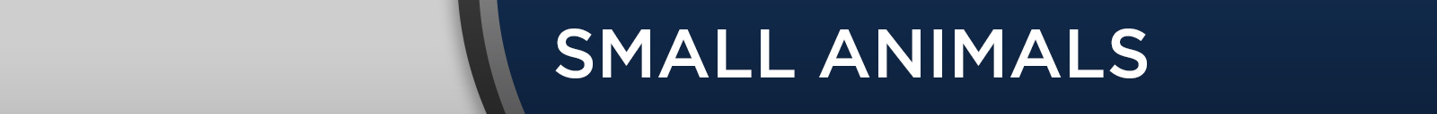 Small Animal Services - Gillespie Veterinary Center - Fredericksburg, TX